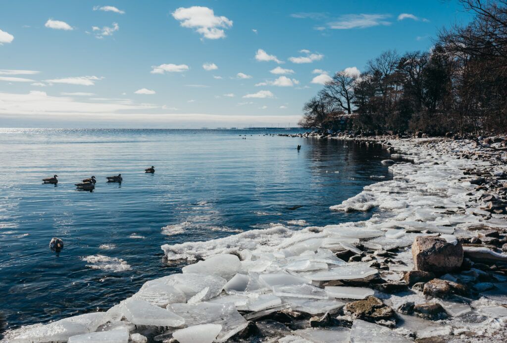 Shoreline Repair After Ice Push