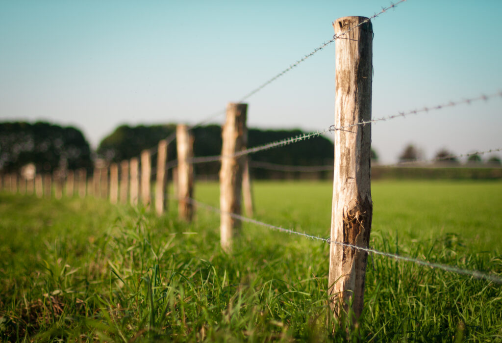 Fence Line Full of Overgrowth? Here’s What to Do Before You Cut ...